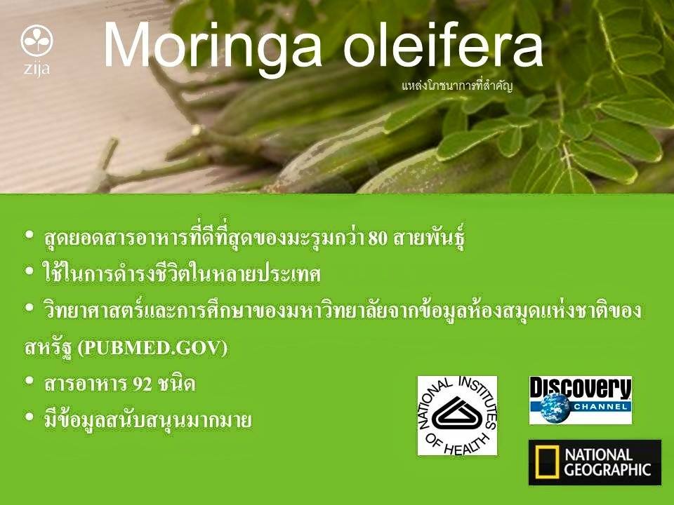 Super Mix Moringa Oleifera Blend by Zija – Thailand Best Selling ...