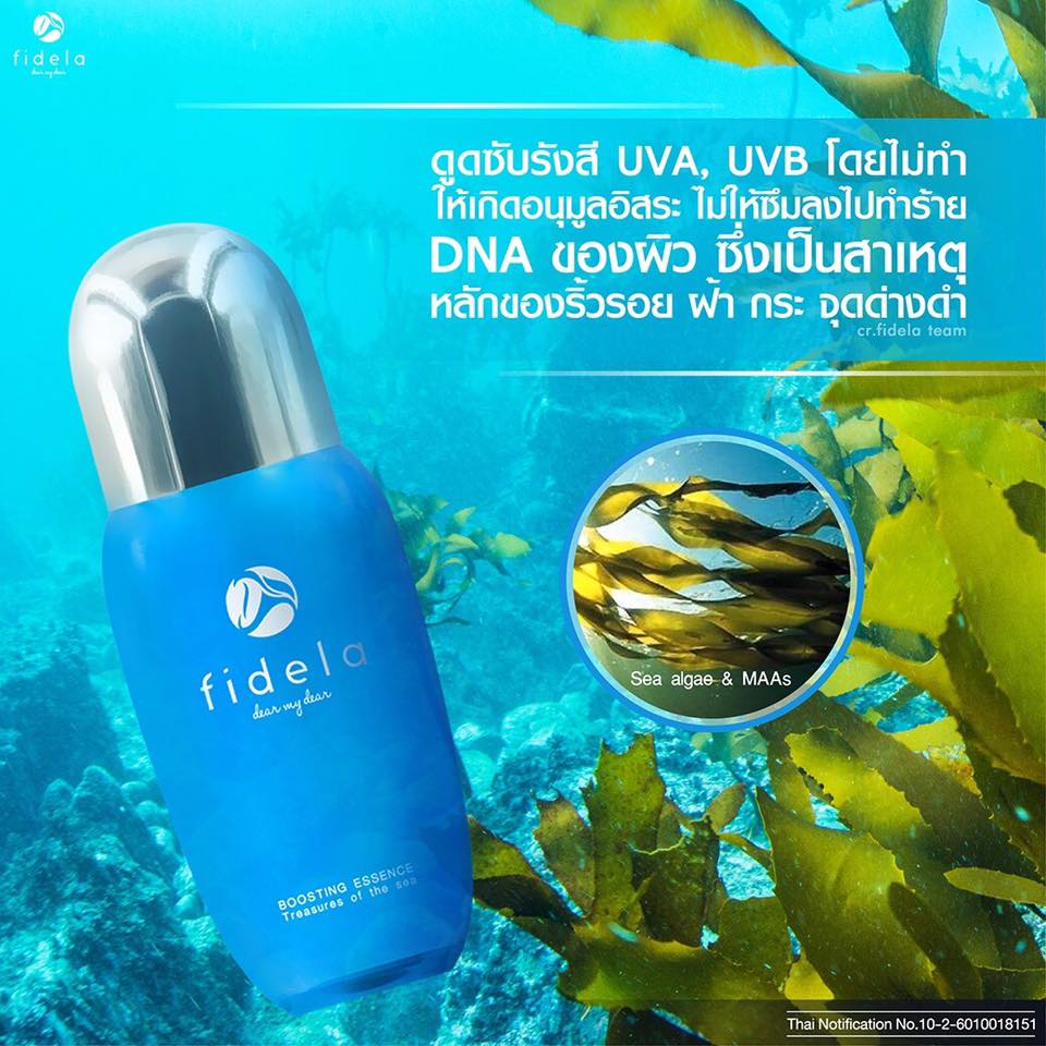 Fidela Boosting Essence - Thailand Best Selling Beauty Products - No.1 ...