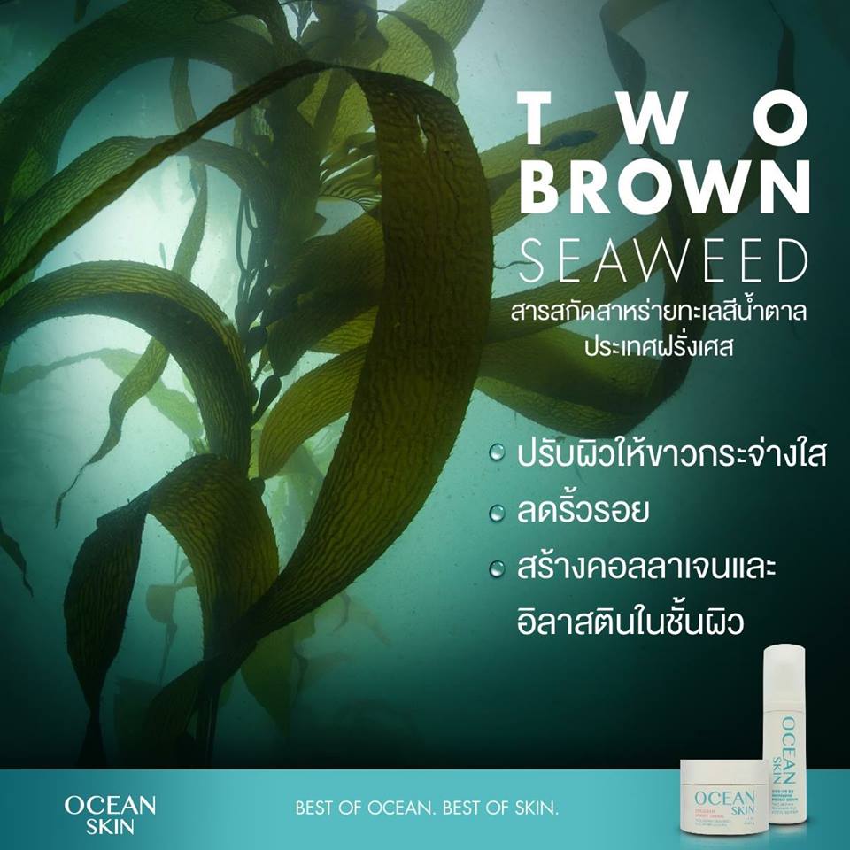 Ocean Skin Whitening Perfect Serum - Thailand Best Selling Beauty ...