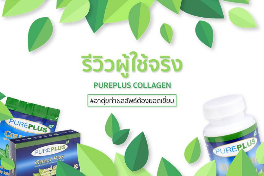 Pure Plus Colly Vizy Fish Hydrolyzed Premium Collagen - Thailand Best ...