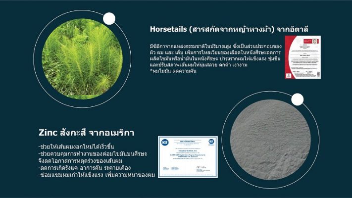 Q-Tin Dietary Supplement - Thailand Best Selling Beauty Products - No.1 ...