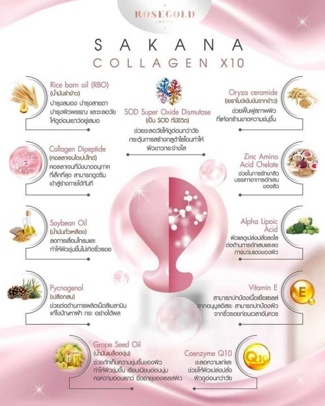 Sakana Collagen X10 by Rose Gold - Thailand Best Selling Products ...