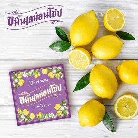 Viv Skin Lemon Soap - Thailand Best Selling Beauty Products - No.1 ...