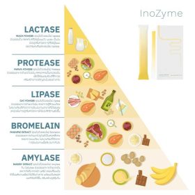InoZyme By Prime Health Pharmaceutical - Thailand Best Selling Beauty ...