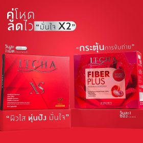 Itcha Fiber Plus - Thailand Best Selling Beauty Products - No.1 Online ...