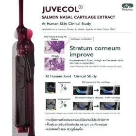 BioActive+ Concentrated Liquid Collagen - Thailand Best Selling Beauty ...