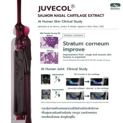 BioActive+ Concentrated Liquid Collagen - Thailand Best Selling Beauty ...