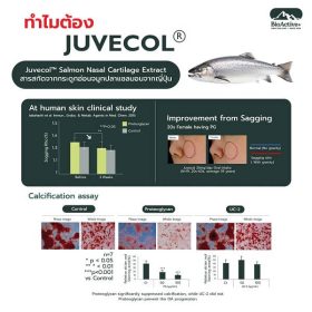 BioActive+ Concentrated Liquid Collagen - Thailand Best Selling Beauty ...